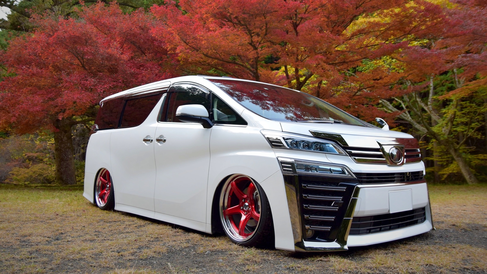 TOYOTA / ALPHARD & VELLFIRE / EMOTION T5R 2p | WORK Photo Gallery