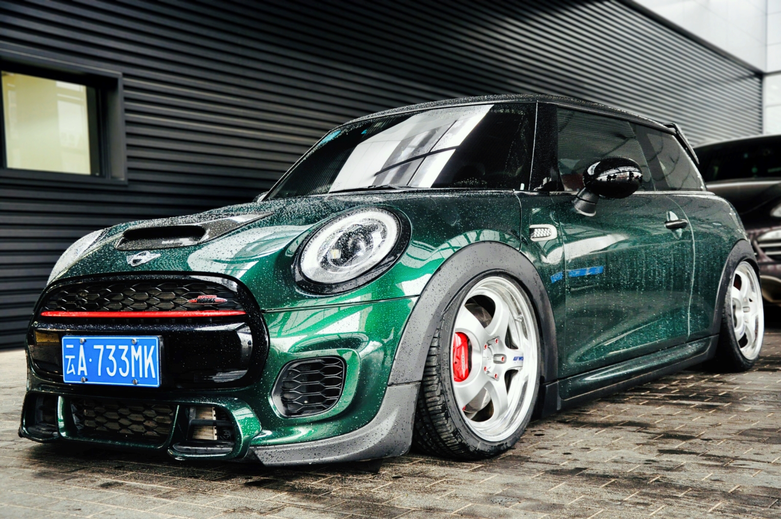 Mini / MEISTER S1R | WORK Photo Gallery
